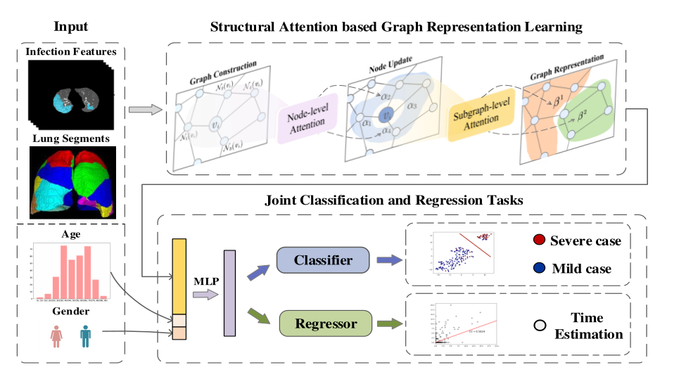 我院刘彦北老师在顶级期刊IEEE Transaction on Medical Imaging上发表研究论文